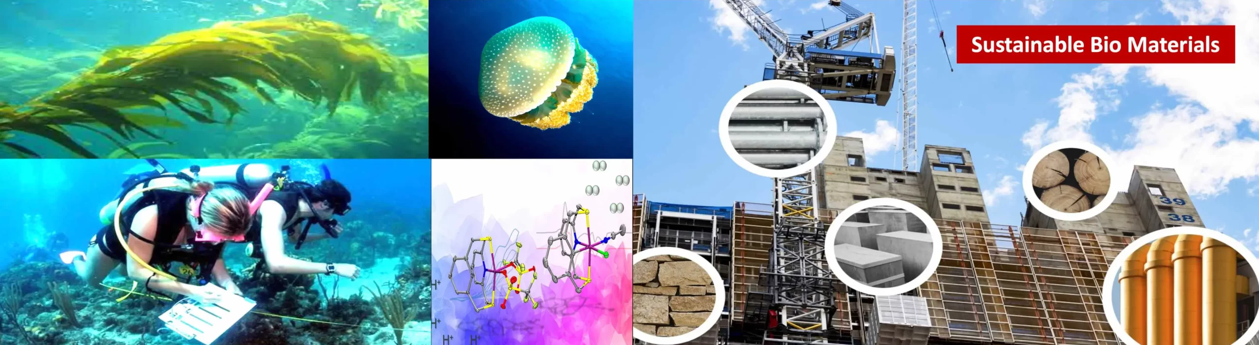 South Asia Renewables | Startup with Innovative Biomaterials division ...